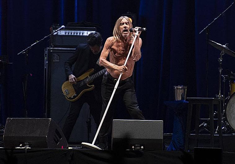 Iggy Pop: una fiera anda suelta por Vitoria | El Correo